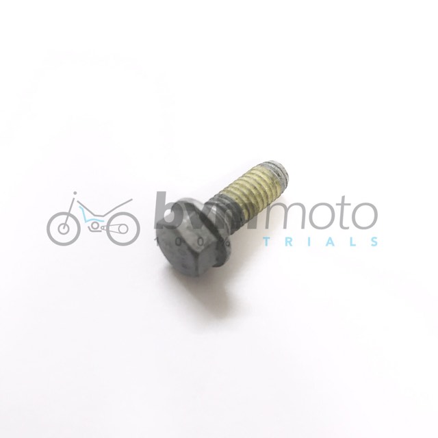 Beta Evo Rear Disc Bolt